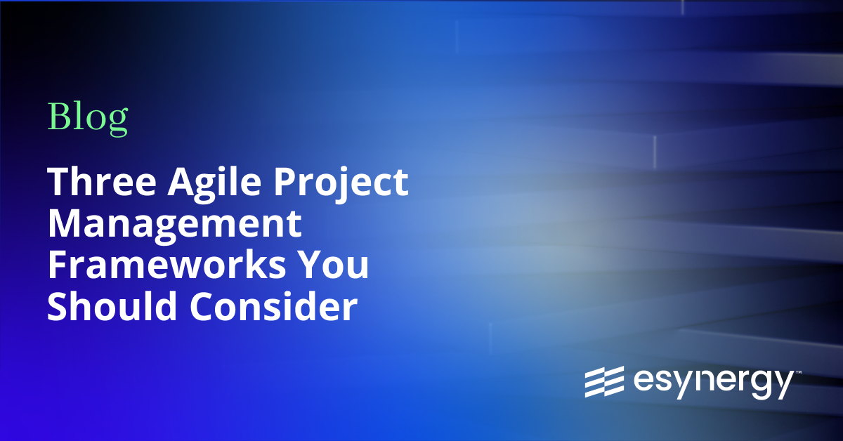 Three Agile Project Management Frameworks To Consider Esynergy Blog